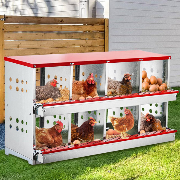 Archie & Oscar™ 8-Hole Metal Chicken Nests Boxes Laying Eggs Wall Mount Metal Chicken Nesting ...